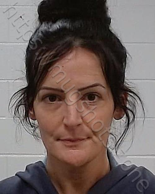 TUTTLE AMBER JENAE 03/24/2026 - Collin County Mugshots Zone