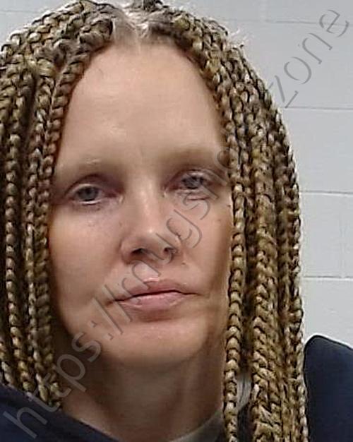 REYES MAEGAN NICOLE 03/27/2026 - Collin County Mugshots Zone