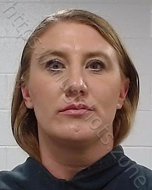 SHIREY JESSICA MARIE 04/24/2026 - Collin County Mugshots Zone