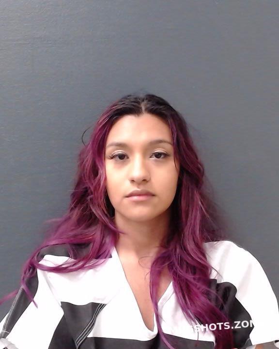 TERRAZAS SHIANNE ALIA 02/14/2022 - Comal County Mugshots Zone