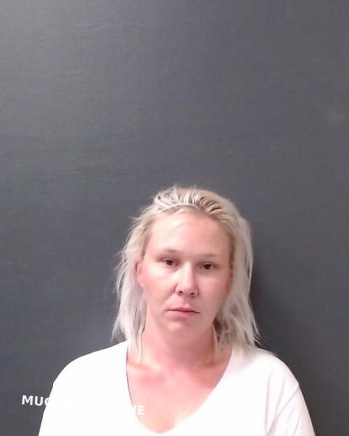 SHERMER BRITTNEE LYNN 06/06/2022 - Comal County Mugshots Zone