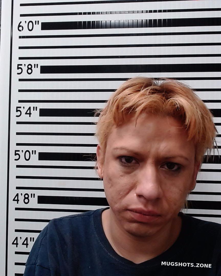 DIAZ NDEMERICH YOSHI 10/28/2022 - Comal County Mugshots Zone