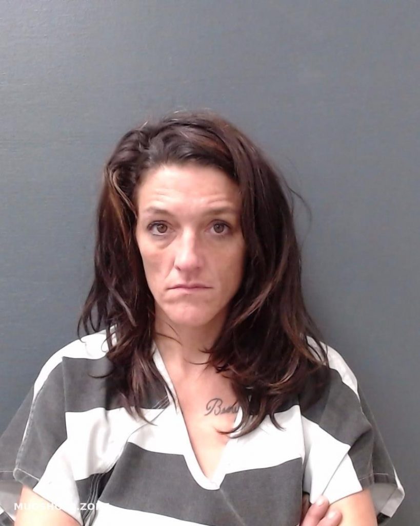 SNYDER KAY 11/10/2022 - Comal County Mugshots Zone
