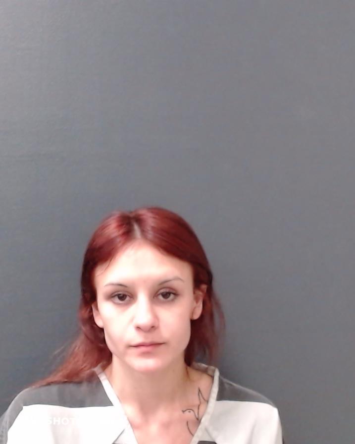 HERNANDEZ ALLISON NICOLE 12/15/2022 - Comal County Mugshots Zone