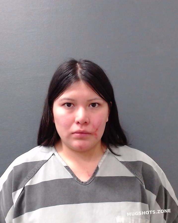 DAVIS KAYLA SUE ANN 02/20/2023 - Comal County Mugshots Zone
