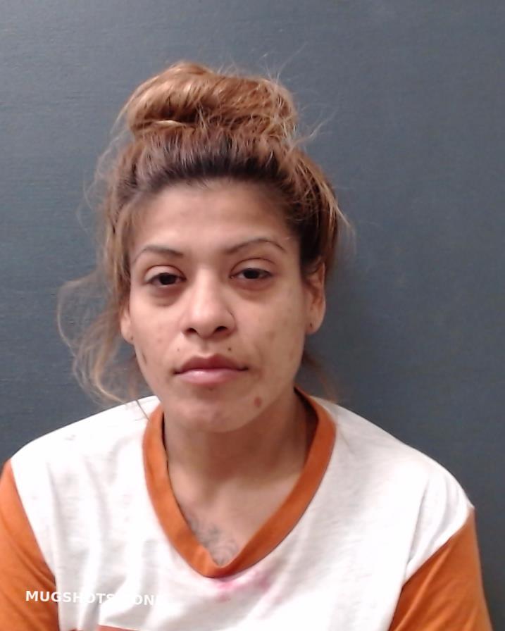 CASTILLO TRACY 04/13/2023 - Comal County Mugshots Zone