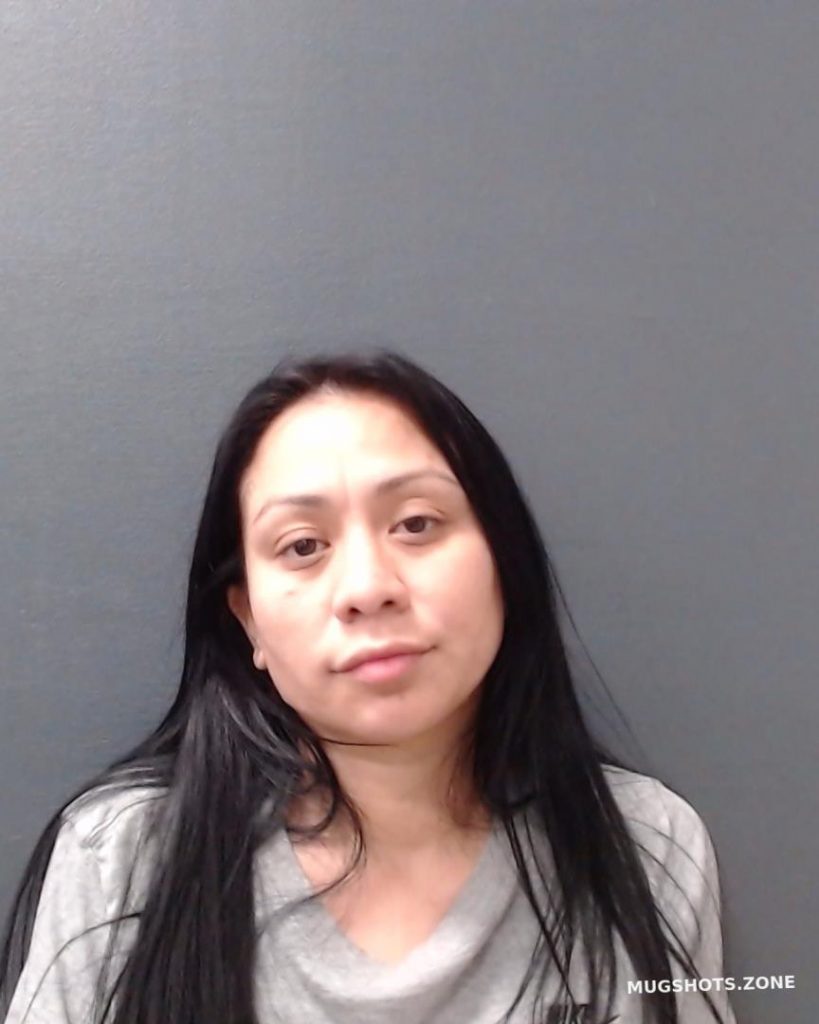 CASTILLO ANNA MARIE 08/30/2023 - Comal County Mugshots Zone