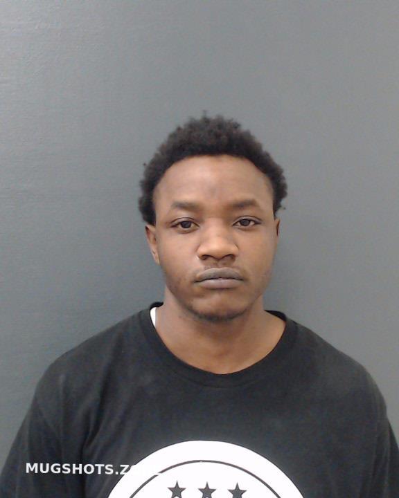 HAMILTON RONALD III 01/13/2024 - Comal County Mugshots Zone