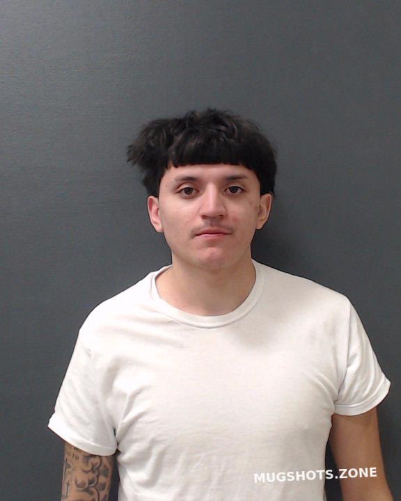 CONTRERAS LORENZO JR. 03/11/2024 - Comal County Mugshots Zone