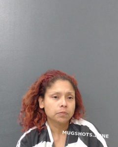 Salazar Stephanie 04 04 2024 Comal County Mugshots Zone