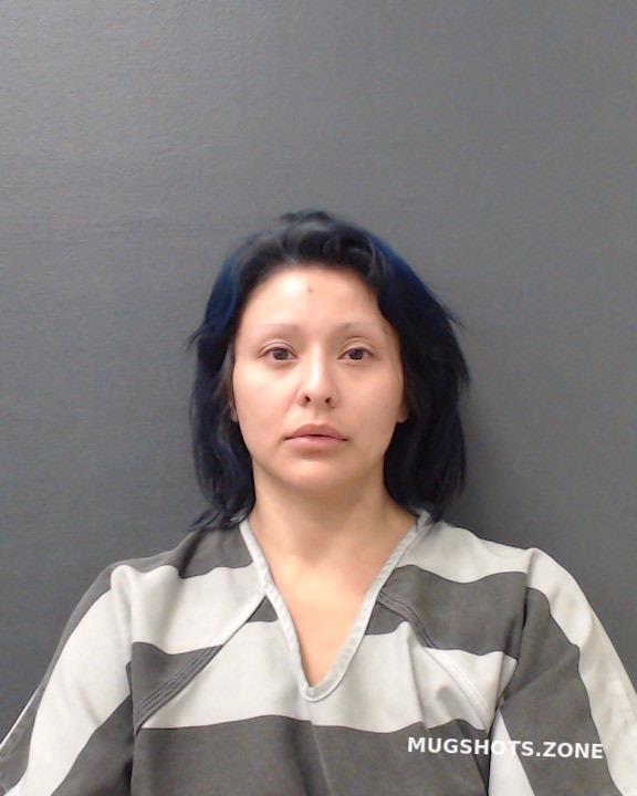 RUIZ AMANDA LYNN 08/07/2024 - Comal County Mugshots Zone