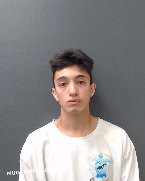 ZAMARRIPA CAMERON GABRIEL 08/10/2024 - Comal County Mugshots Zone