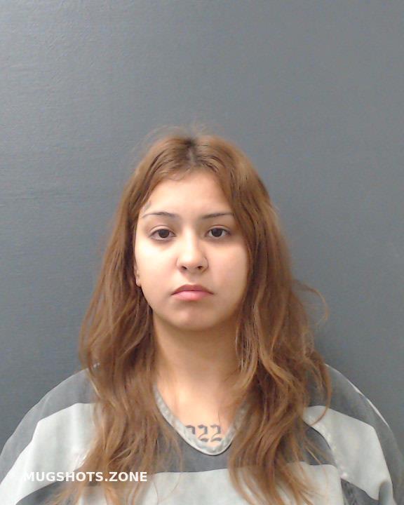 HANSEN KATRINA MARIE 08/24/2024 - Comal County Mugshots Zone