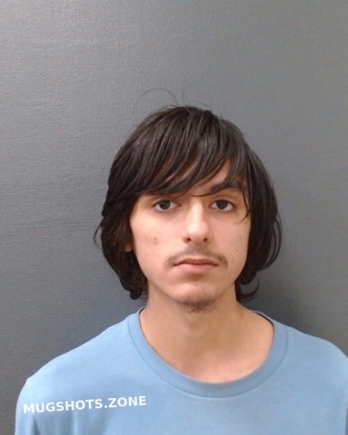 SALINAS ACE RILEY 02/19/2025 - Comal County Mugshots Zone