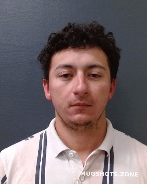 MEJIA PADILLA LESTER JOVANNY 03/04/2025 - Comal County Mugshots Zone