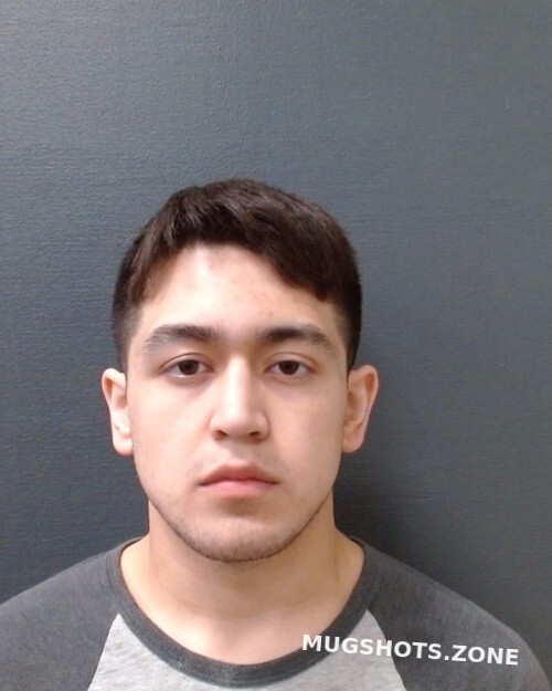 LAPEER DYLAN JAYCE 03/11/2025 - Comal County Mugshots Zone