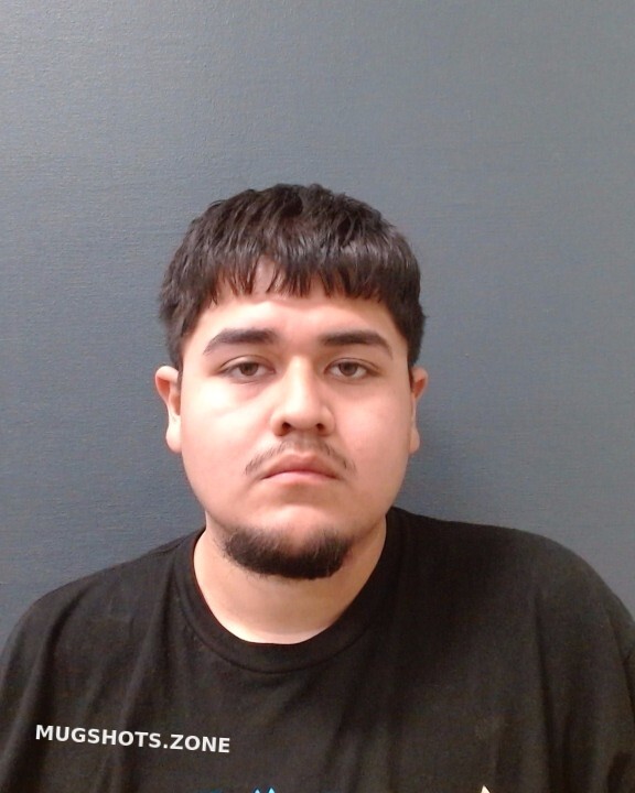 REYES LUIS MANUEL 04/01/2025 - Comal County Mugshots Zone
