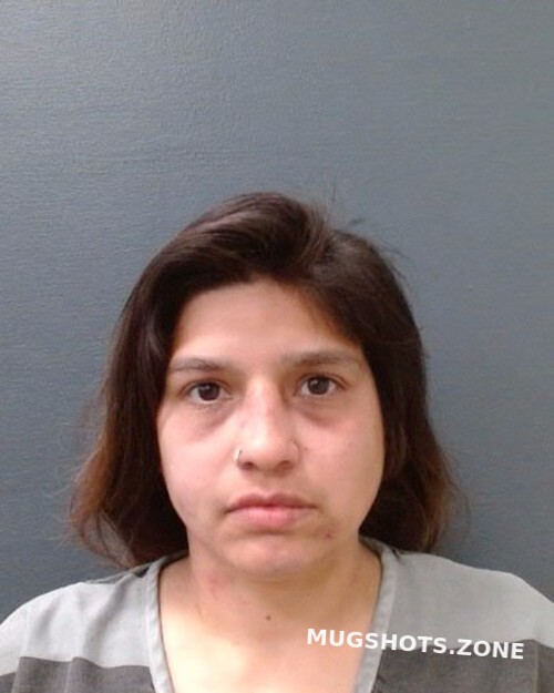GOMEZ SARAH MICHELLE 04/27/2025 - Comal County Mugshots Zone