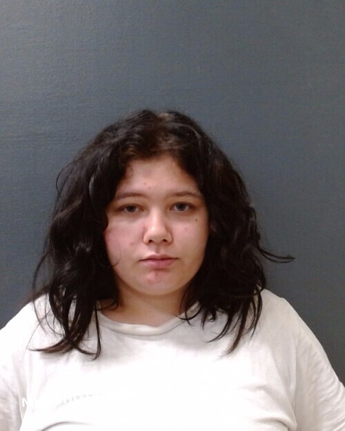 SAWYER STARLETTE SKYE 11/24/2025 - Comal County Mugshots Zone