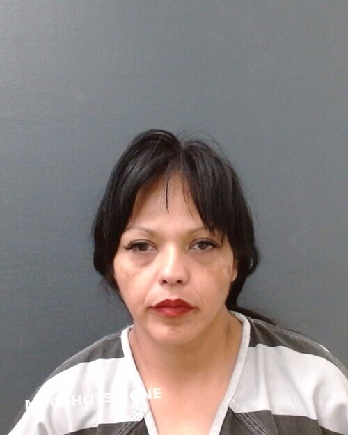RIOS PRISCILLA APRIL 02/03/2026 - Comal County Mugshots Zone