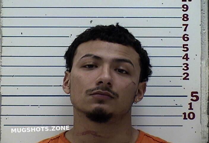 ROMAN CALEB MICHAEL 02/24/2021 - Comanche County Mugshots Zone