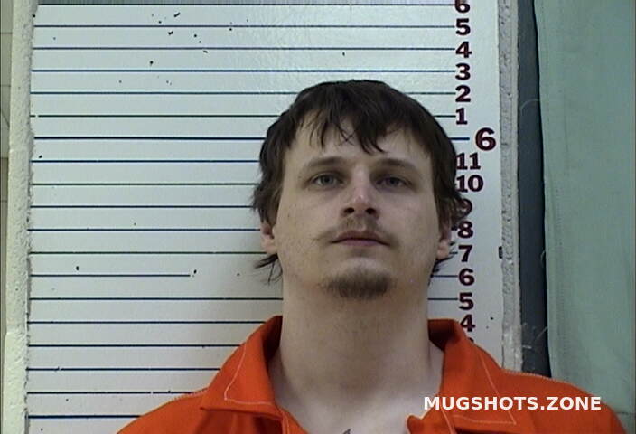 WELLMAN JOSHUA TANNER 03/28/2022 - Comanche County Mugshots Zone