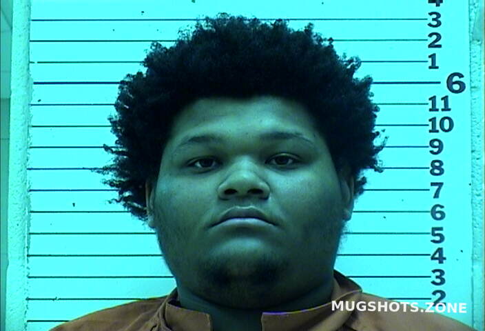 JOHNSON MARTAVION JAHEIM 02/27/2023 - Comanche County Mugshots Zone