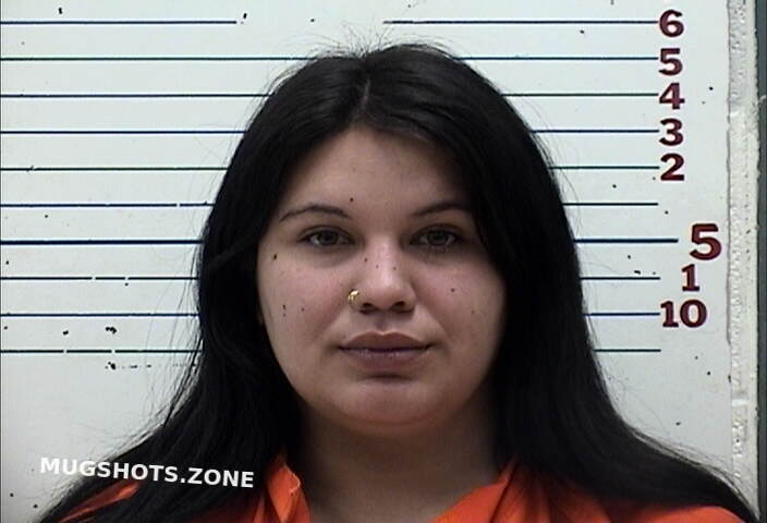 HADDON RYAN PAIGE 02/20/2024 - Comanche County Mugshots Zone