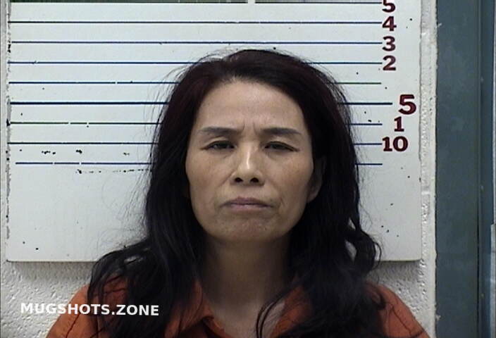 LIFANG LIN 04/02/2024 - Comanche County Mugshots Zone