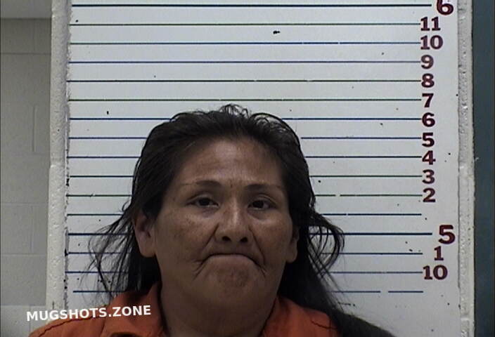 REITER KIMBERLY ANN 04/12/2024 - Comanche County Mugshots Zone