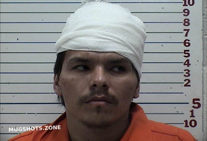 TOYA JARVIS JORDAN 05/13/2024 - Comanche County Mugshots Zone