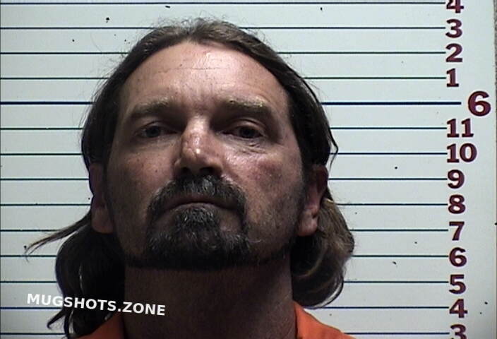 OWEN SHAWN DAVIS 08/08/2024 - Comanche County Mugshots Zone