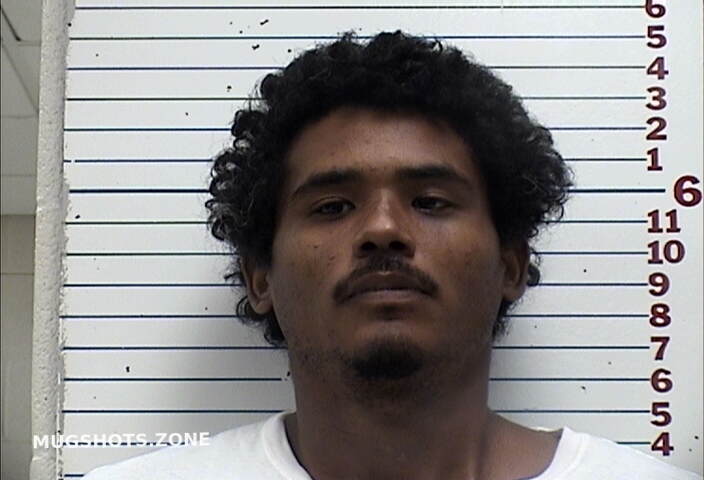 CASTRO JOSHUA MICHAEL 09/23/2024 - Comanche County Mugshots Zone