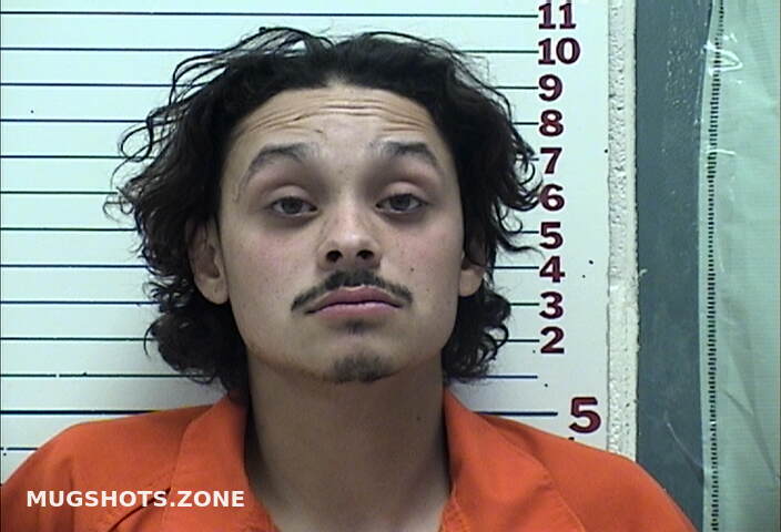 NEGRON SAVION RICARDO 01/24/2025 - Comanche County Mugshots Zone