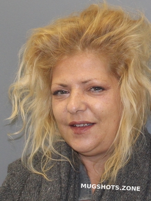 DAVIS SHELLY D. 02/21/2021 - Cooke County Mugshots Zone