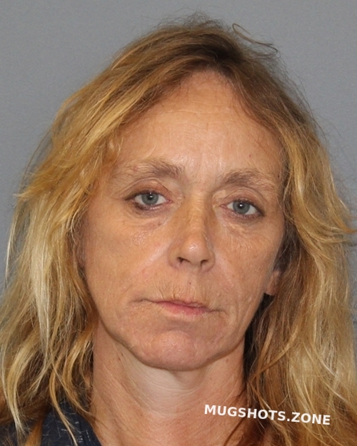 COOK ELAINE DIANE 08/30/2022 - Cooke County Mugshots Zone