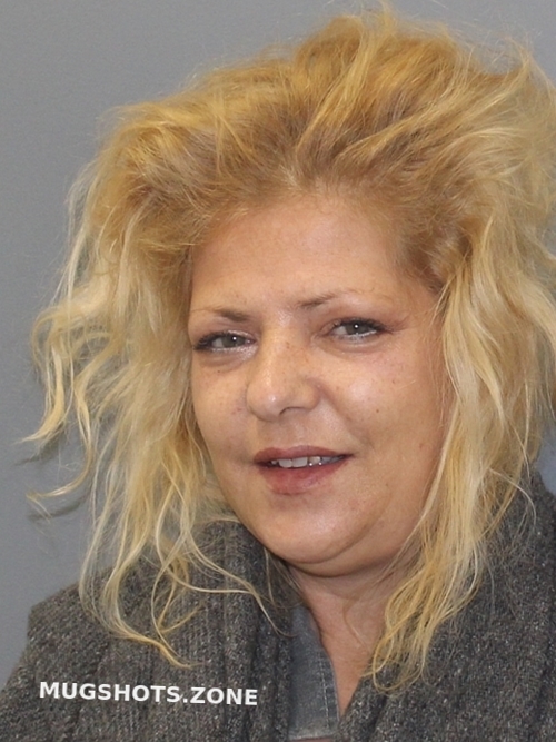 DAVIS SHELLY DAWN 09/08/2022 - Cooke County Mugshots Zone