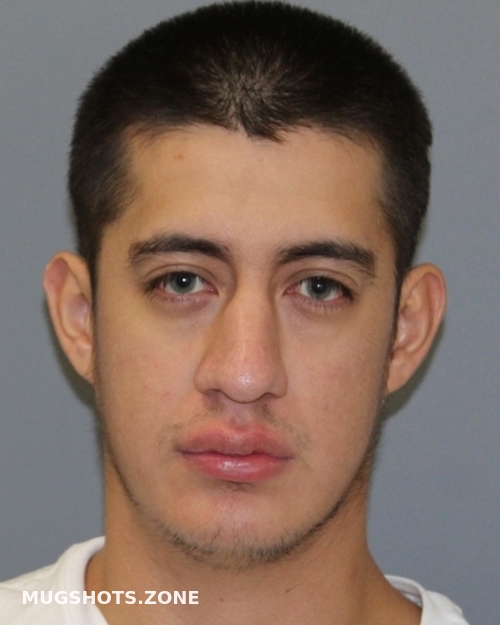 SUAREZ CARLOS ALEJANDRO 11/05/2022 - Cooke County Mugshots Zone