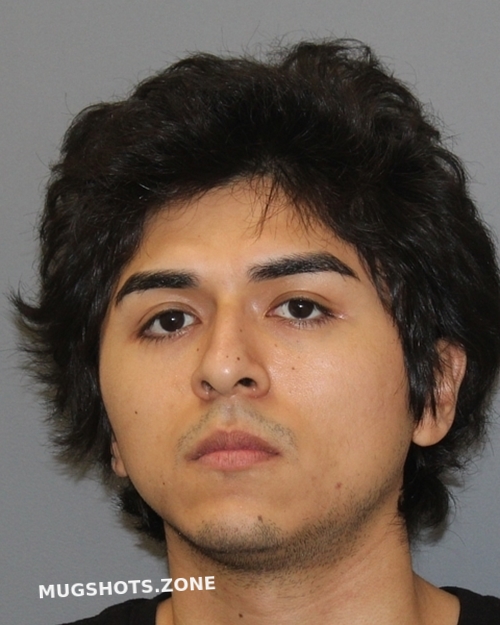 LANDEROS RAMIRO JR 01/12/2023 - Cooke County Mugshots Zone