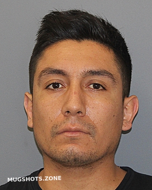 PUGA HUGO MENDEZ 02/06/2023 - Cooke County Mugshots Zone