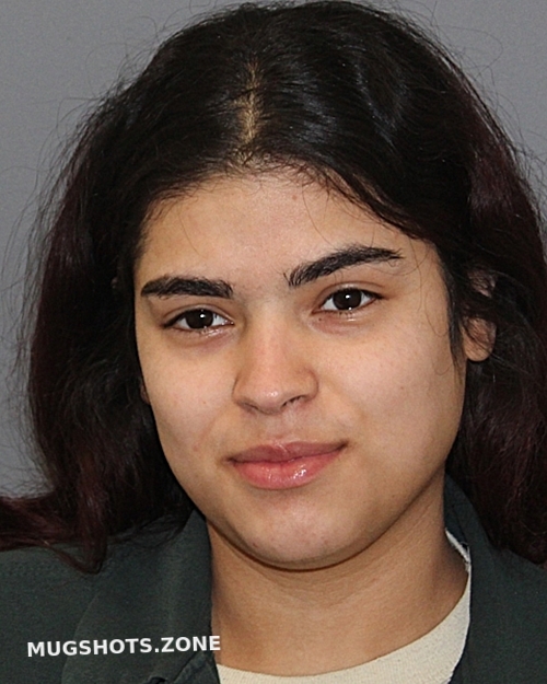 CRUZ-GUTIERREZ ERIKA DAYANA 03/15/2023 - Cooke County Mugshots Zone