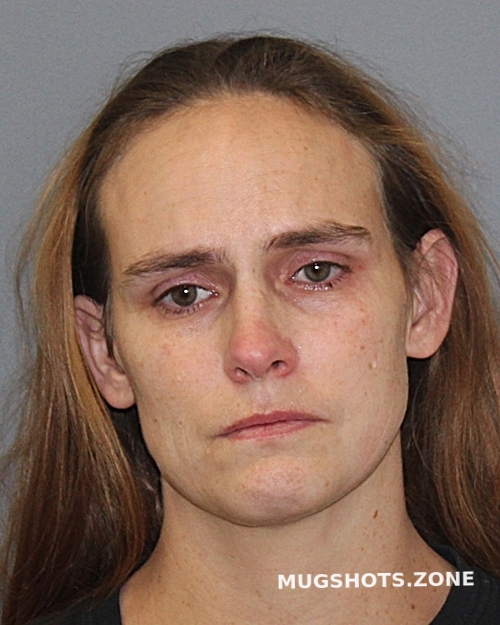SCHULTZ TINA MARIE 03/28/2023 - Cooke County Mugshots Zone