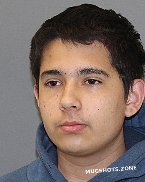 Nichols Caleb Shawn 04 02 2023 Cooke County Mugshots Zone
