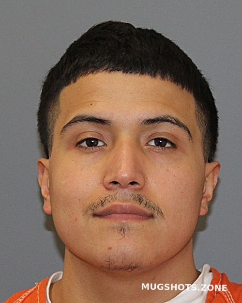 RIOZ RICKY MARCUS - 146280 06/06/2023 - Cooke County Mugshots Zone