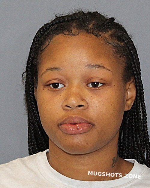 THOMPSON BRANDI ELISE - 57411 07/28/2023 - Cooke County Mugshots Zone