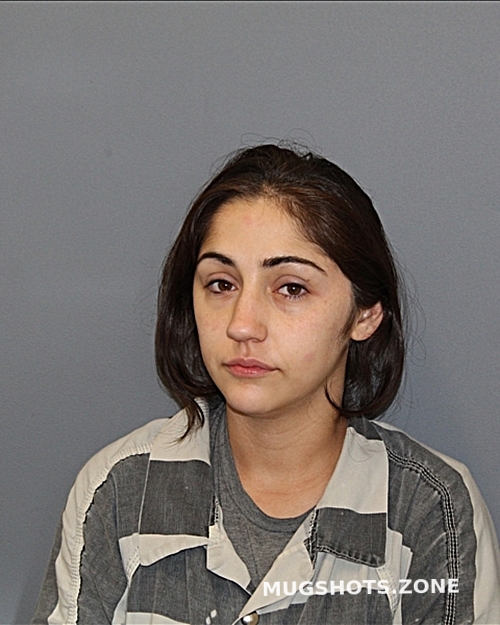BARNES LYDIA ELAINE - 147556 08/19/2023 - Cooke County Mugshots Zone