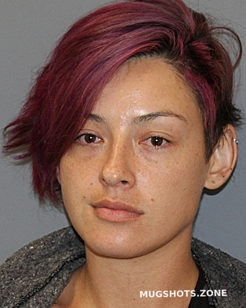 CRISWELL MICHELLE SUSAN - 147860 09/05/2023 - Cooke County Mugshots Zone