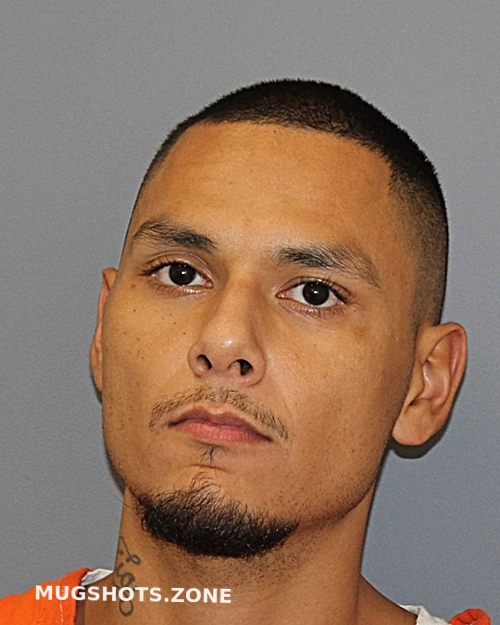 ROJAS JOSE MARTIN - 149387 12/01/2023 - Cooke County Mugshots Zone