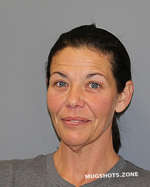 Davis Elizabeth Ann 149624 12 14 2023 Cooke County Mugshots Zone