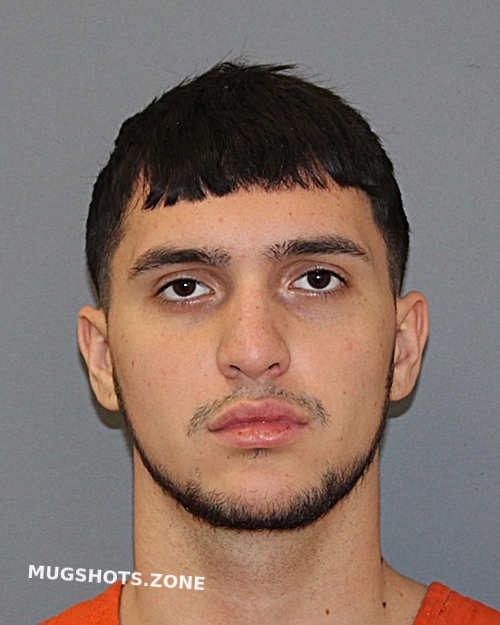 TOWERS BRYSON SABASTIN - 149839 12/29/2023 - Cooke County Mugshots Zone